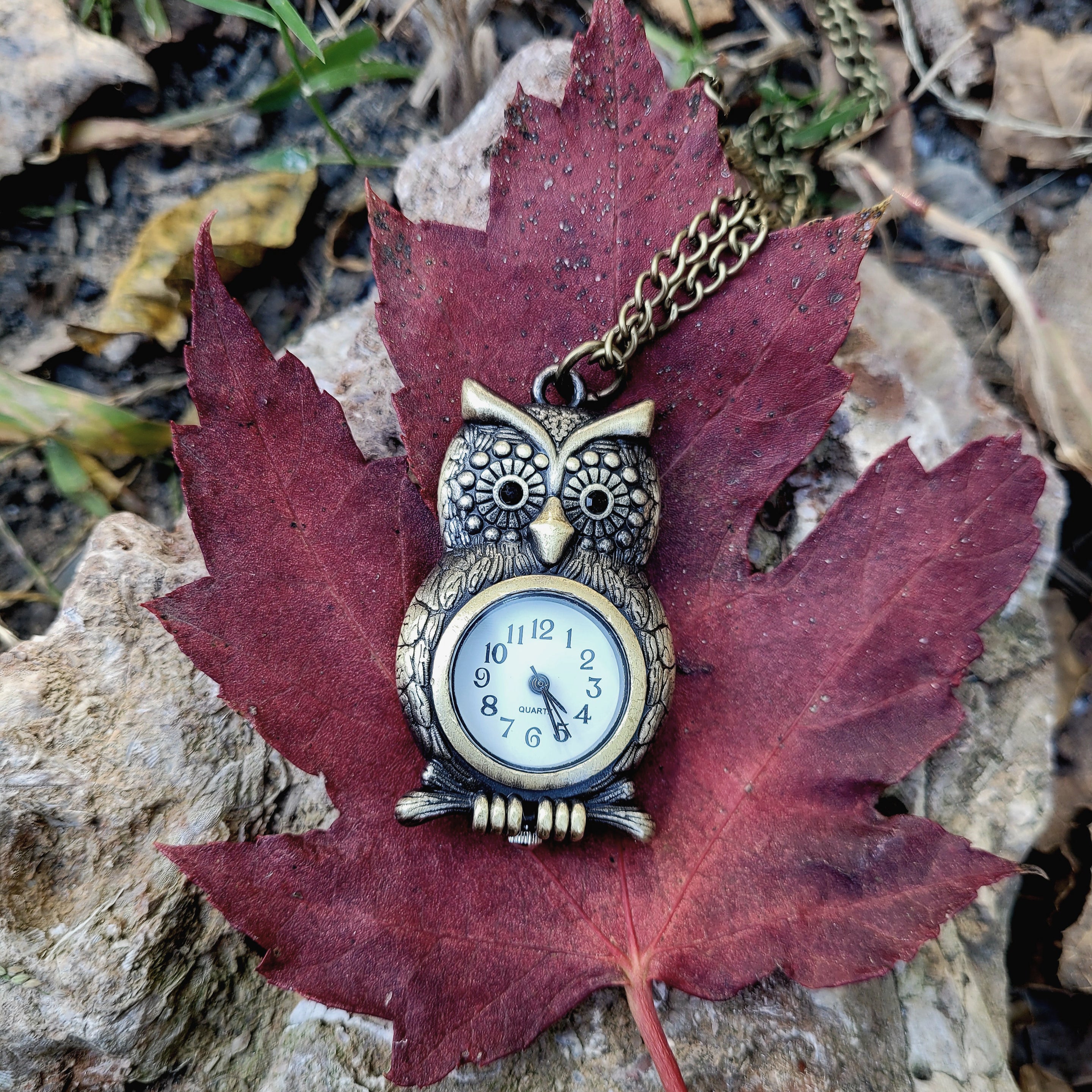 Owl Pocket Watch Necklace, Owl Jewelry, Owl Clock